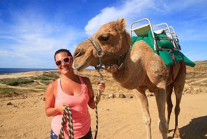 Cabo San Lucas Camel Ride and Encounter on Beach and Desert - Key Points