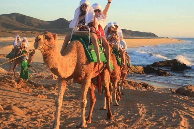 Cabo San Lucas Camel Ride and Encounter on Beach and Desert - What to Expect at Each Stop