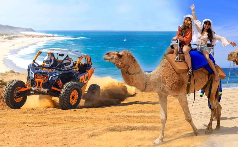Cabo San Lucas: Camel Ride & Off-Road UTV Combo Adventure - Who Will Love This Tour?