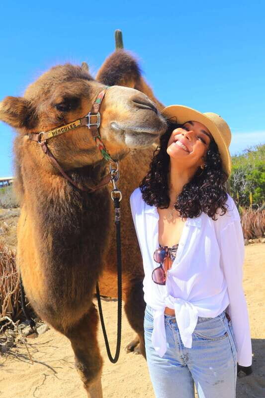 Cabo San Lucas: Camel Ride & Off-Road UTV Combo Adventure - FAQ