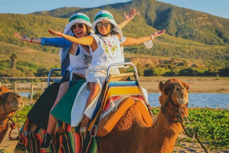 Cabo San Lucas: Camel Ride on the Beach - What to Expect from This Camel Ride Tour