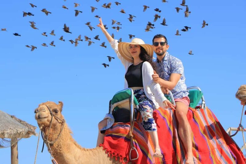 Cabo San Lucas: Camel Ride on the Beach - Additional Activities and Amenities
