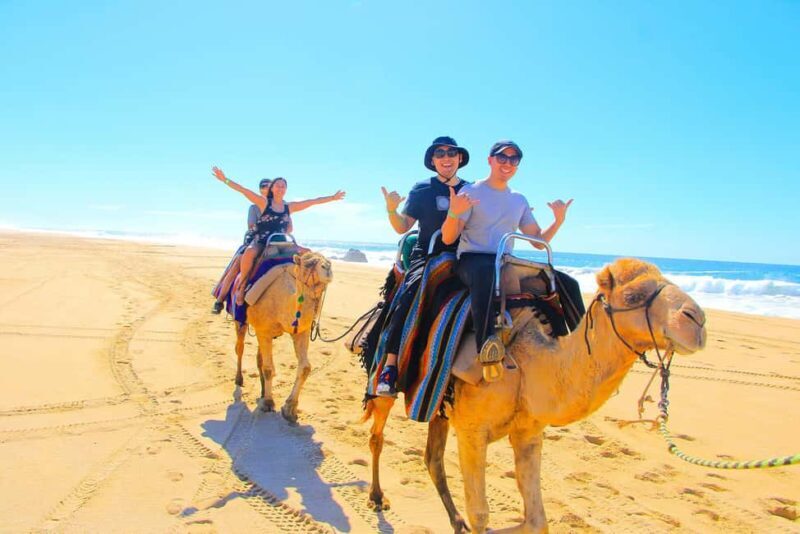 Cabo San Lucas: Camel Ride on the Beach - Tour Logistics and Practical Tips
