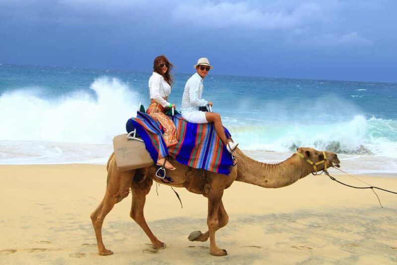 Cabo San Lucas: Camel Ride on the Beach - Final Thoughts