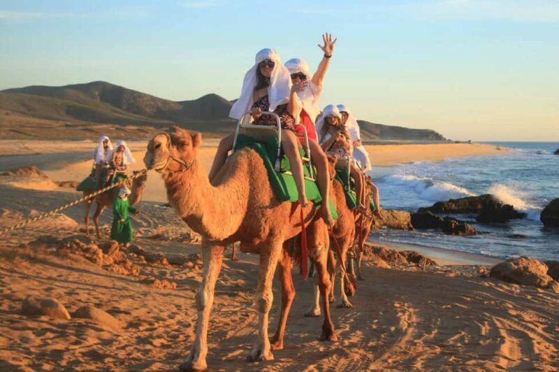 Cabo San Lucas: Camel Ride on the Beach - FAQ