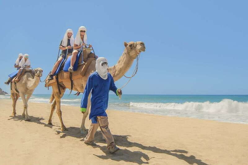 Cabo San Lucas: Camel Safari Tour with Lunch and Tequila - Key Points