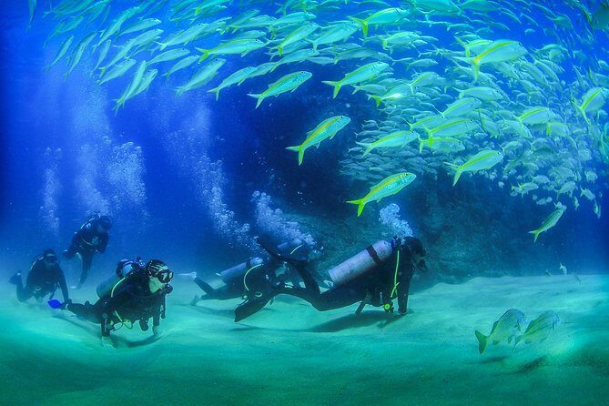 Cabo San Lucas Certified 2 Tank Dive at the Famous Arch and Land's End - Exploring the Experience: A Detailed Look at the Tour