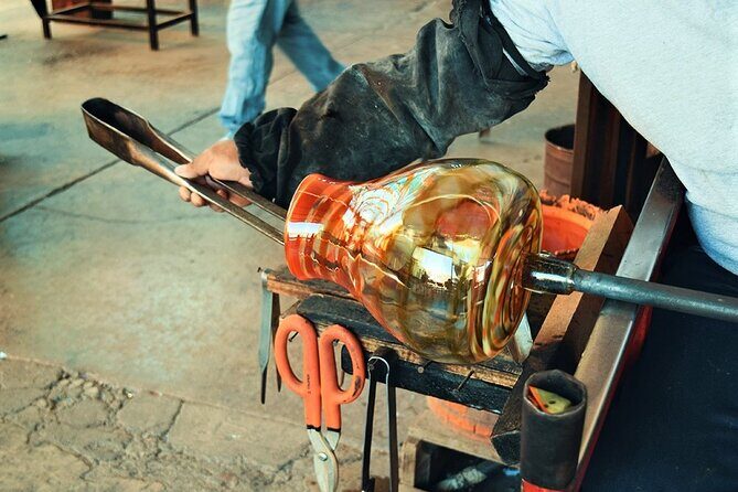 Cabo San Lucas City Tour And Arch Glass Bottom Boat Ride - Authentic Reviews: What Travelers Are Saying