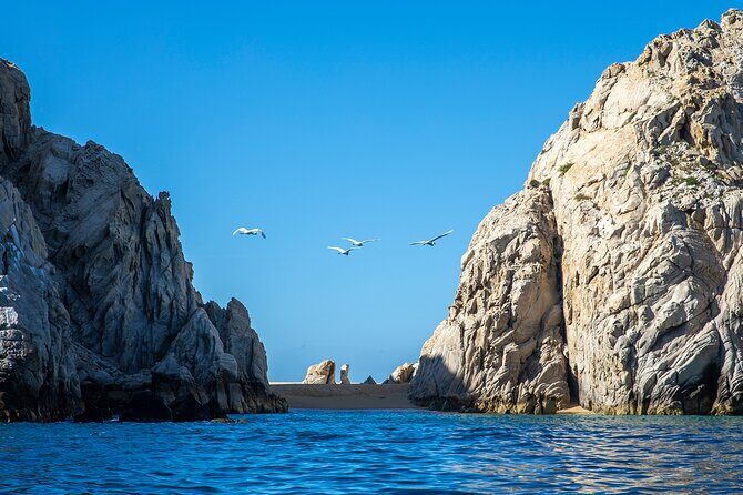 Cabo San Lucas City Tour and Optional Beach Time - The Itinerary Breakdown: From Marina to Beach and Beyond