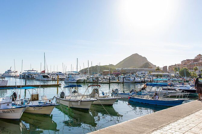 Cabo San Lucas City Tour - Exploring the Cabo San Lucas City Tour: A Balanced Look at a Small-Group Adventure