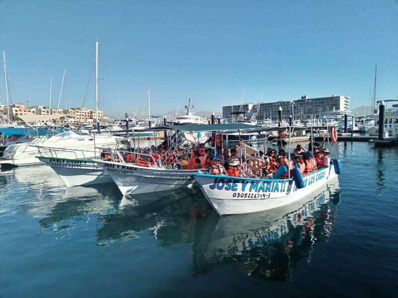 Cabo San Lucas: Classic Tour to the Arch in Glass Bottom - Is It Worth the Cost?