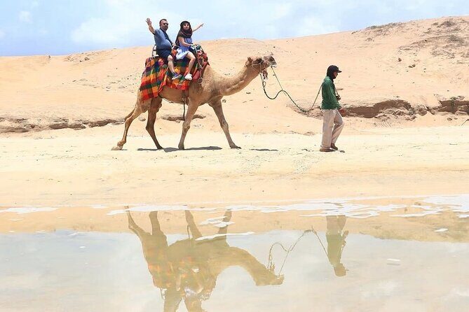 Cabo San Lucas Combo 2 in 1 Skybikes, ATV, RZR, Horses or Camel - Activities in Detail