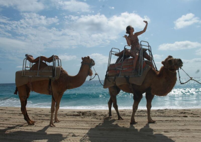 Cabo San Lucas: Combo Vehicle plus Camel or Horse Tour - Exploring the Landscapes of Los Cabos