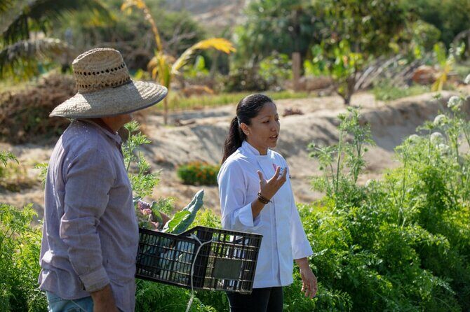 Cabo San Lucas Cooking Classes by Chef Ari - Practical Tips for Booking
