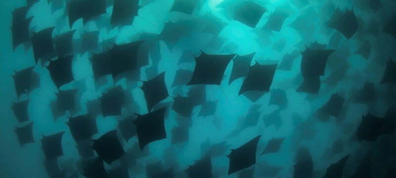 Cabo San Lucas: Discover Scuba Diving Experience - The Sum Up