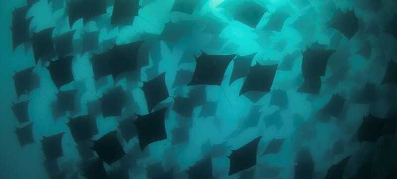 Cabo San Lucas: Discover Scuba Diving Experience - FAQs