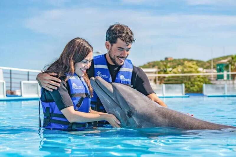 Cabo San Lucas: Dolphin Swim Class with Marine Specialist - Key Points