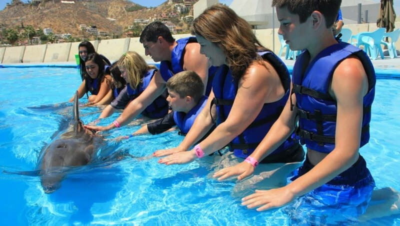 Cabo San Lucas: Dolphin Swim Class with Marine Specialist - Who Should Consider This Experience?