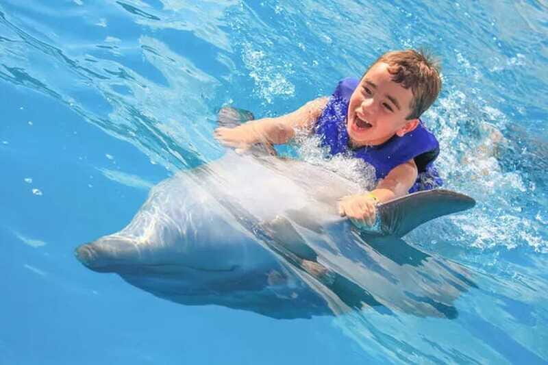 Cabo San Lucas: Dolphin Swim Class with Marine Specialist - FAQs