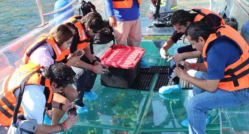 Cabo San Lucas: Glass-Bottom Boat Cruise and Tequila Tasting - Exploring the Itinerary in Detail