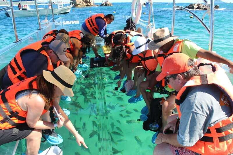 Cabo San Lucas: Glass Bottom Boat Tour to Land's End - In-Depth Look at the Itinerary