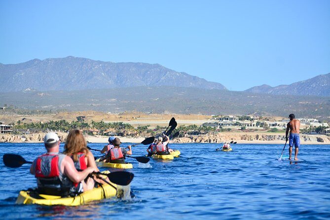 Cabo San Lucas Glass Bottom Kayak Tour and Snorkel at Two Bays - The Sum Up: Who Will Love This Tour?