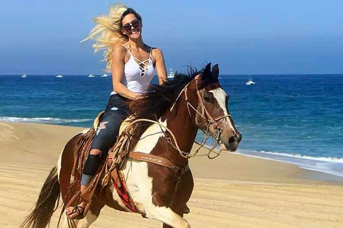 Cabo San Lucas Horseback Ride on Beach and Desert - What Makes This Horseback Tour Stand Out?
