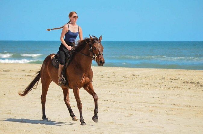 Cabo San Lucas Horseback Ride on Beach and Desert - Final Thoughts
