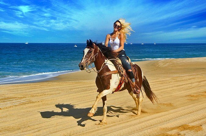 Cabo San Lucas Horseback Ride on Beach and Desert - FAQ