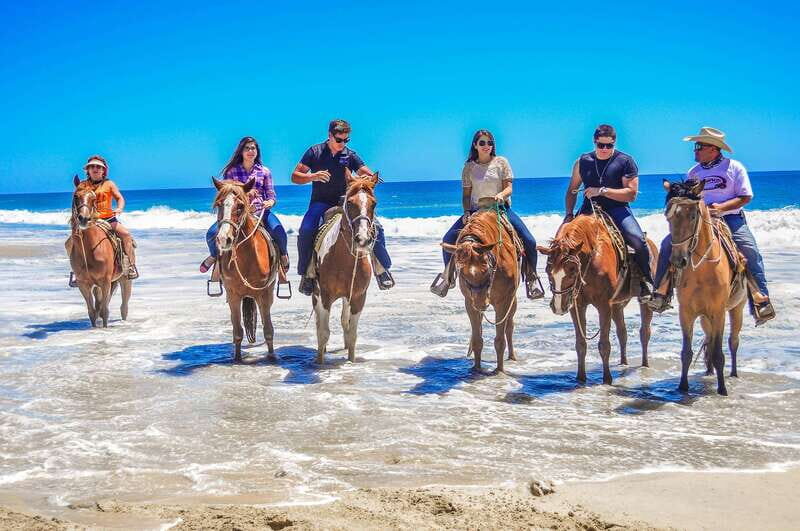 Cabo San Lucas: Horseback Riding Corredor Turistico - The Experience Providers and Customer Ratings