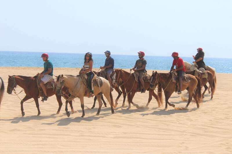 Cabo San Lucas: Horseback Riding Corredor Turistico - Who Will Love This Tour?