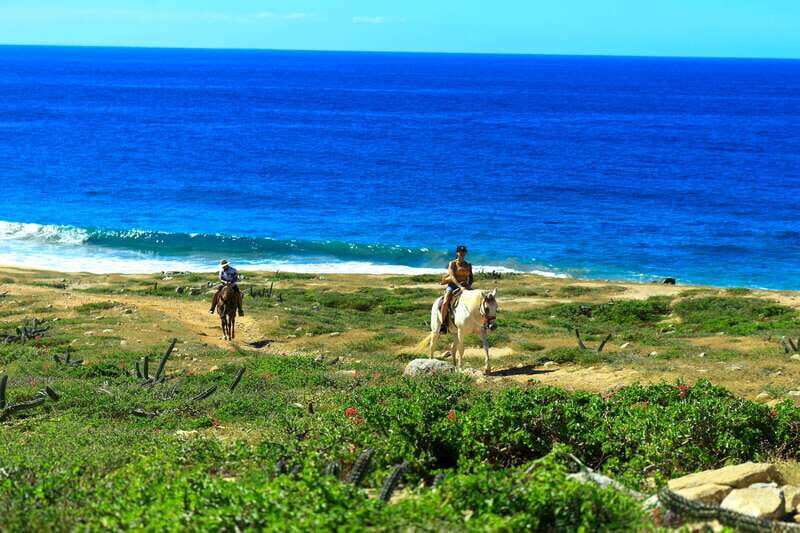 Cabo San Lucas: Horseback Riding in Migriño with Transfers - Key Points
