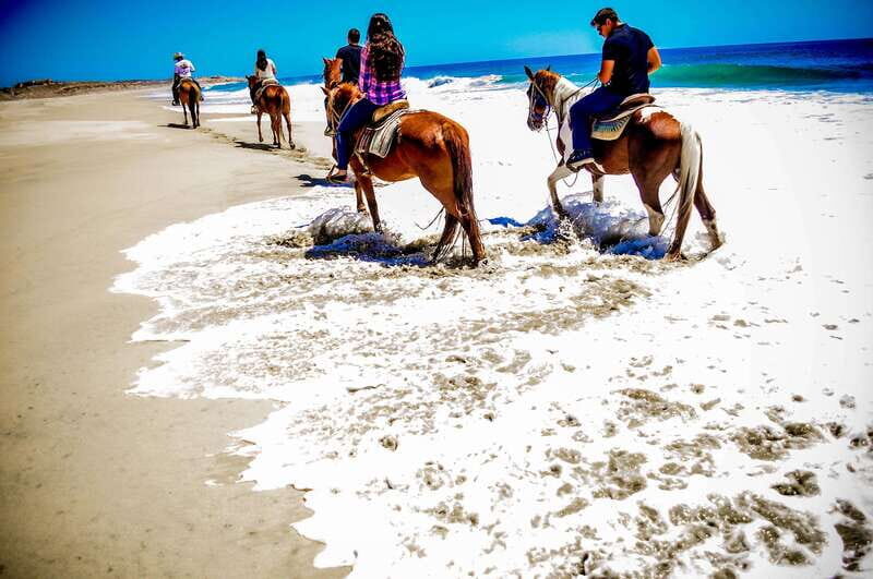 Cabo San Lucas: Horseback Riding in Migriño with Transfers - Convenient Pickup and Transportation