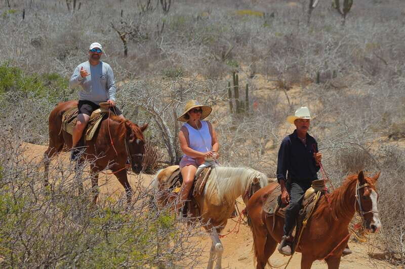 Cabo San Lucas: Horseback Riding in Migriño with Transfers - Relaxation, Photos, and Cultural Tastes