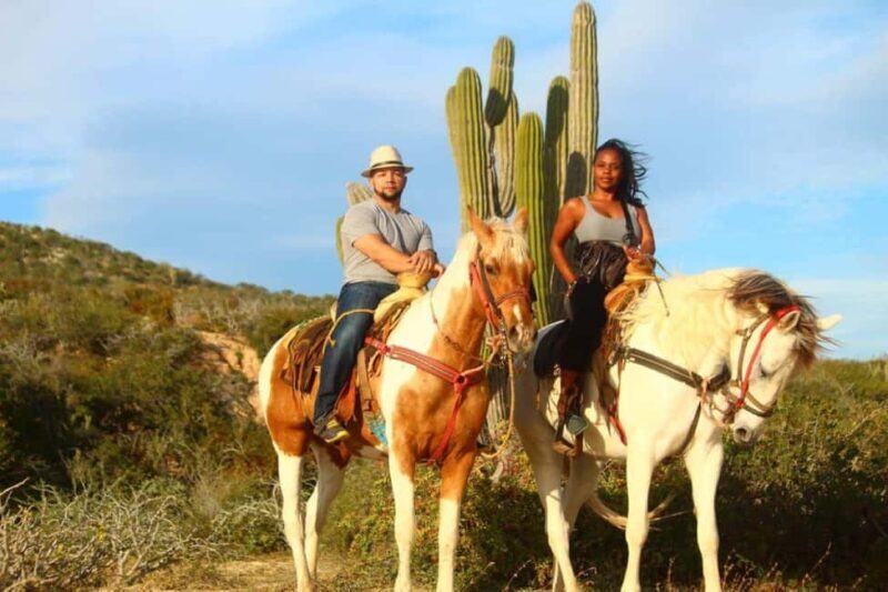 Cabo San Lucas: Horseback Riding on the Beach Experience - What’s Included and What to Expect