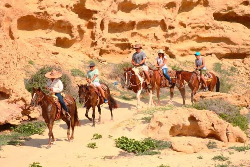 Cabo San Lucas: Horseback Riding on the Beach Experience - Authentic Feedback from Past Participants