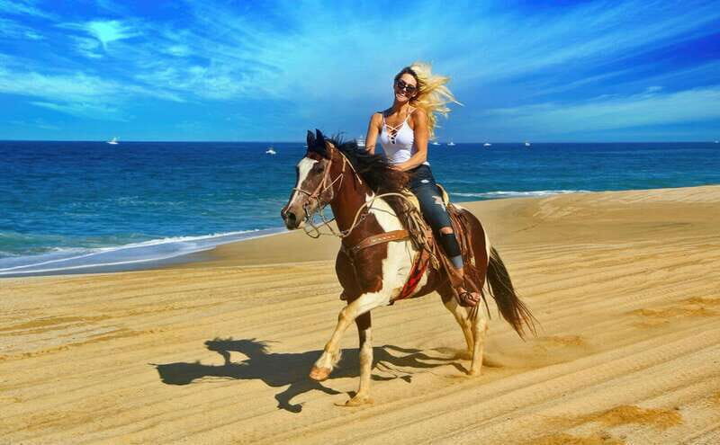 Cabo San Lucas: Horseback Riding On The Beach - What to Expect from This Horseback Adventure