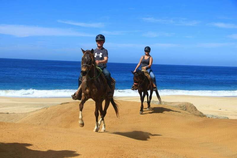 Cabo San Lucas: Horseback Riding On The Beach - Authenticity and Traveler Insights