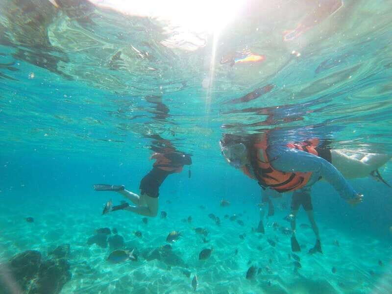 Cabo San Lucas: Kayaking Adventure Tour - Key Points