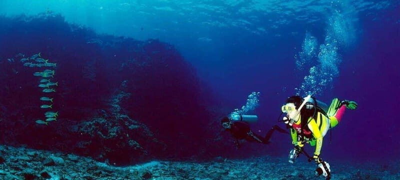 Cabo San Lucas: Marine Reserve Dive - Key Points