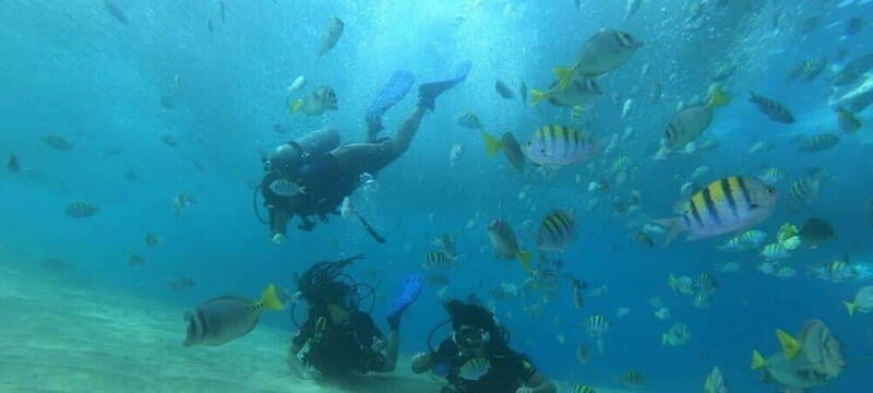 Cabo San Lucas: Marine Reserve Dive - An In-Depth Look at the Cabo Marine Reserve Dive Experience