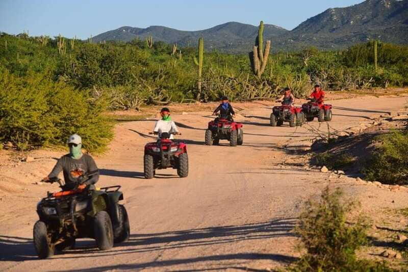 Cabo San Lucas: Migrino Beach & Desert ATV Tour - Who Might Want to Consider Other Options?
