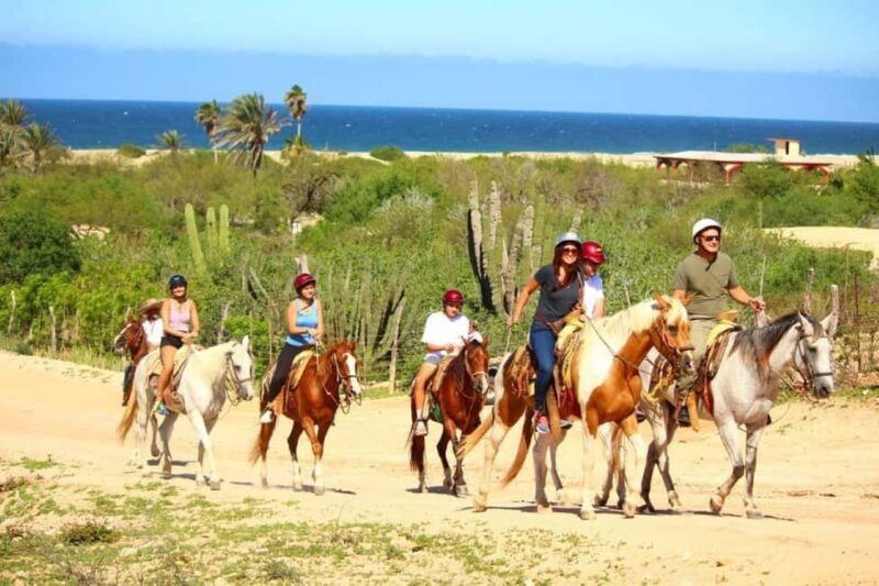 Cabo San Lucas: Migriño Horseback Riding and Tequila Tour - The Sum Up