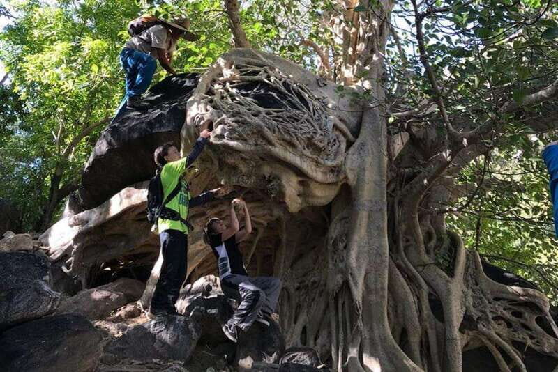 Cabo San Lucas: Pericu Native Road Hike - FAQ