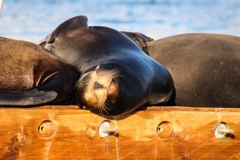 Cabo San Lucas: Private Sunset Cruise - FAQs