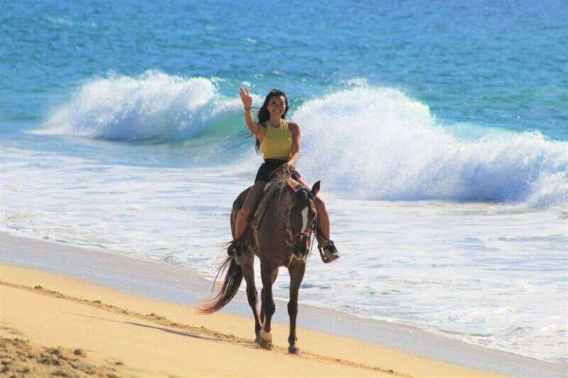 Cabo San Lucas: Scenic Horseback Ride Along the Corridor - An In-Depth Look at the Scenic Horseback Ride