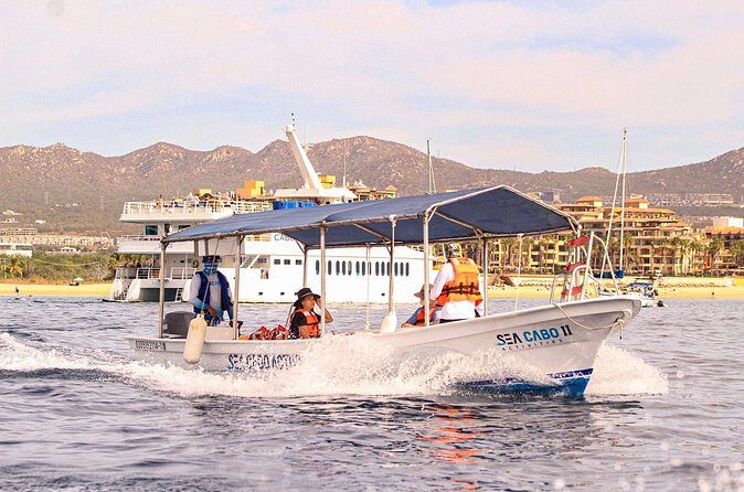 Cabo San Lucas Shared Glass Bottom Boat Experience - The Experience on Board