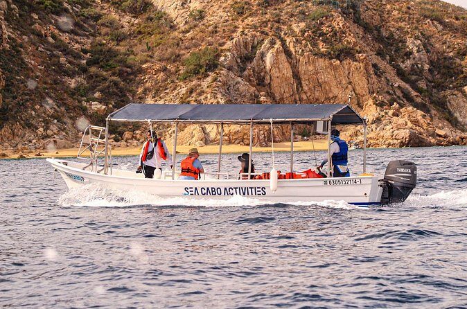 Cabo San Lucas Shared Glass Bottom Boat Experience - Who Would Love This Tour?