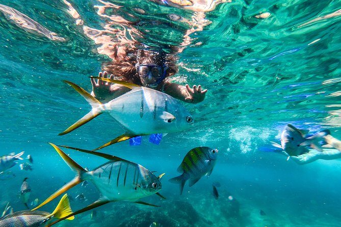 Cabo San Lucas Shopping, Tequila Tasting, and Snorkel Tour - What to Expect from the Tour