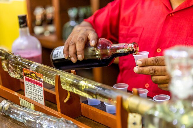 Cabo San Lucas Shopping, Tequila Tasting, and Snorkel Tour - Who Will Love This Tour?